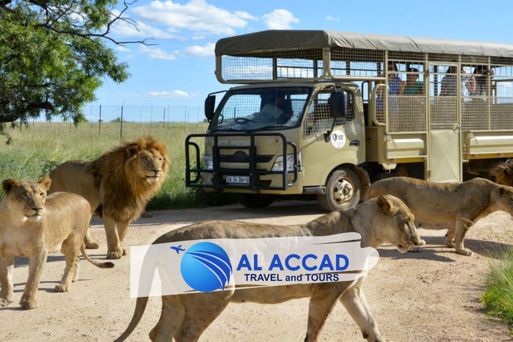 Waka Waka Africa Tour - Al Accad Travel and Tours